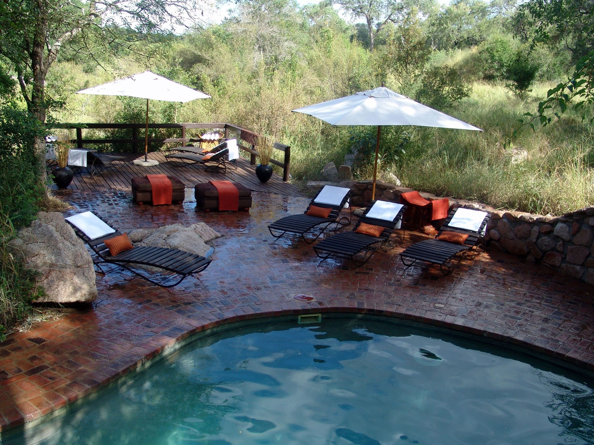 Sabi Sabi Little Bush Camp - Sabi Sands Lodges Reservations