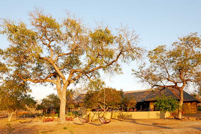 Sabi Sands Accommodation: Sabi Sands Lodges Reservations & Bookings