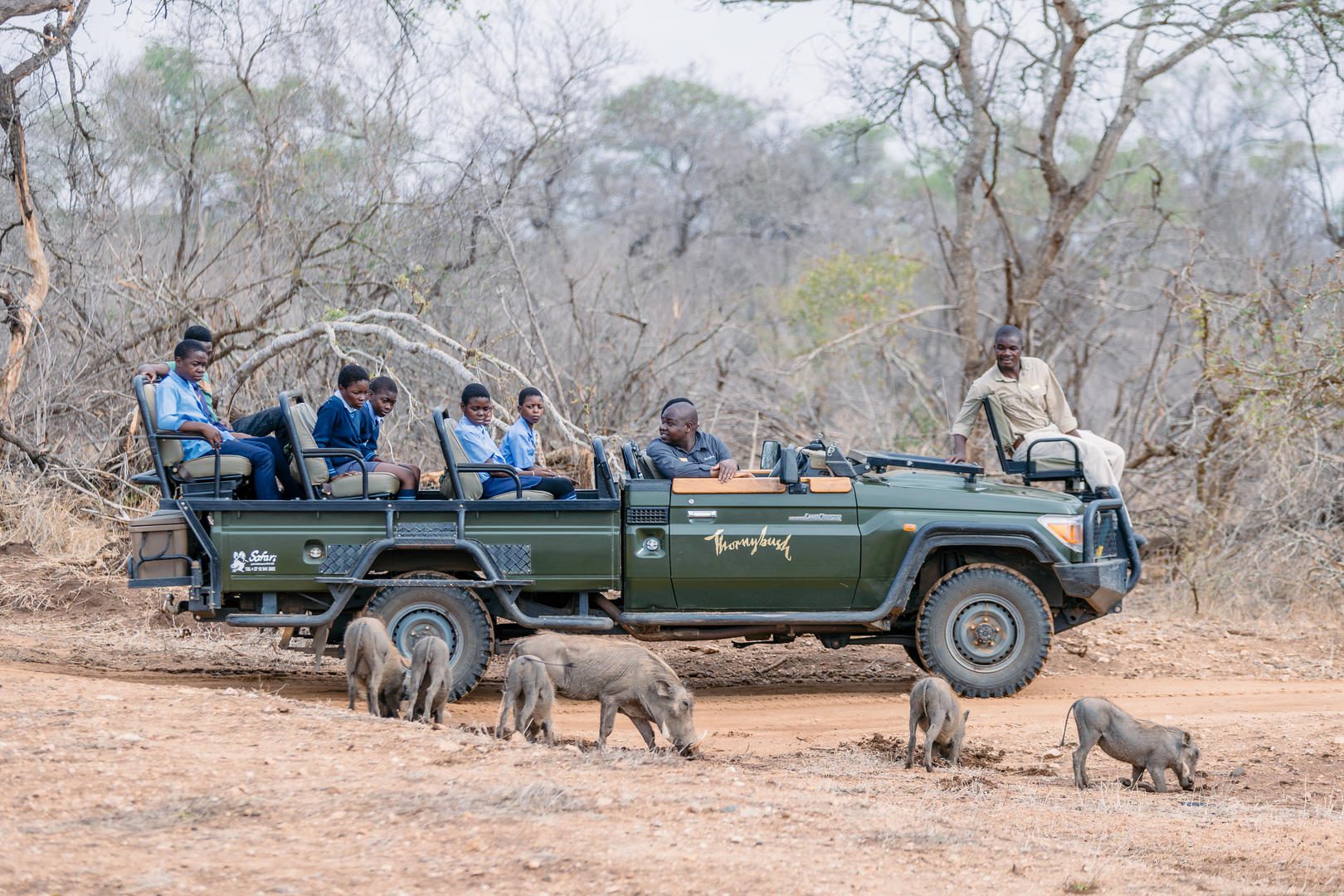 Simbambili Safari Lodge - Sabi Sands Lodges Reservations