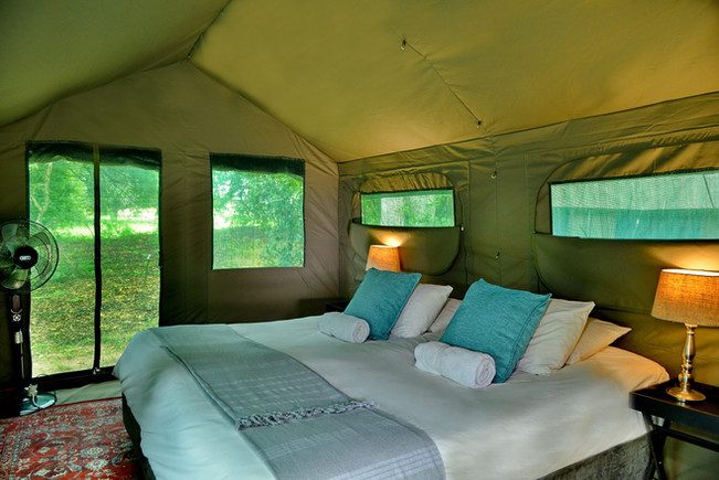 5 Day Kruger National Park & Sabi Sands Safari Combination Guided Tour
