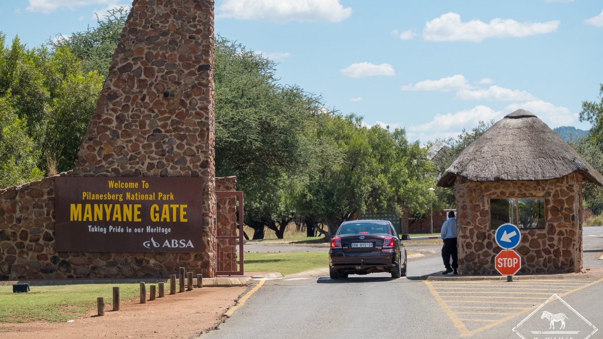 Sabi Sabi Game Reserve | Kruger National Park