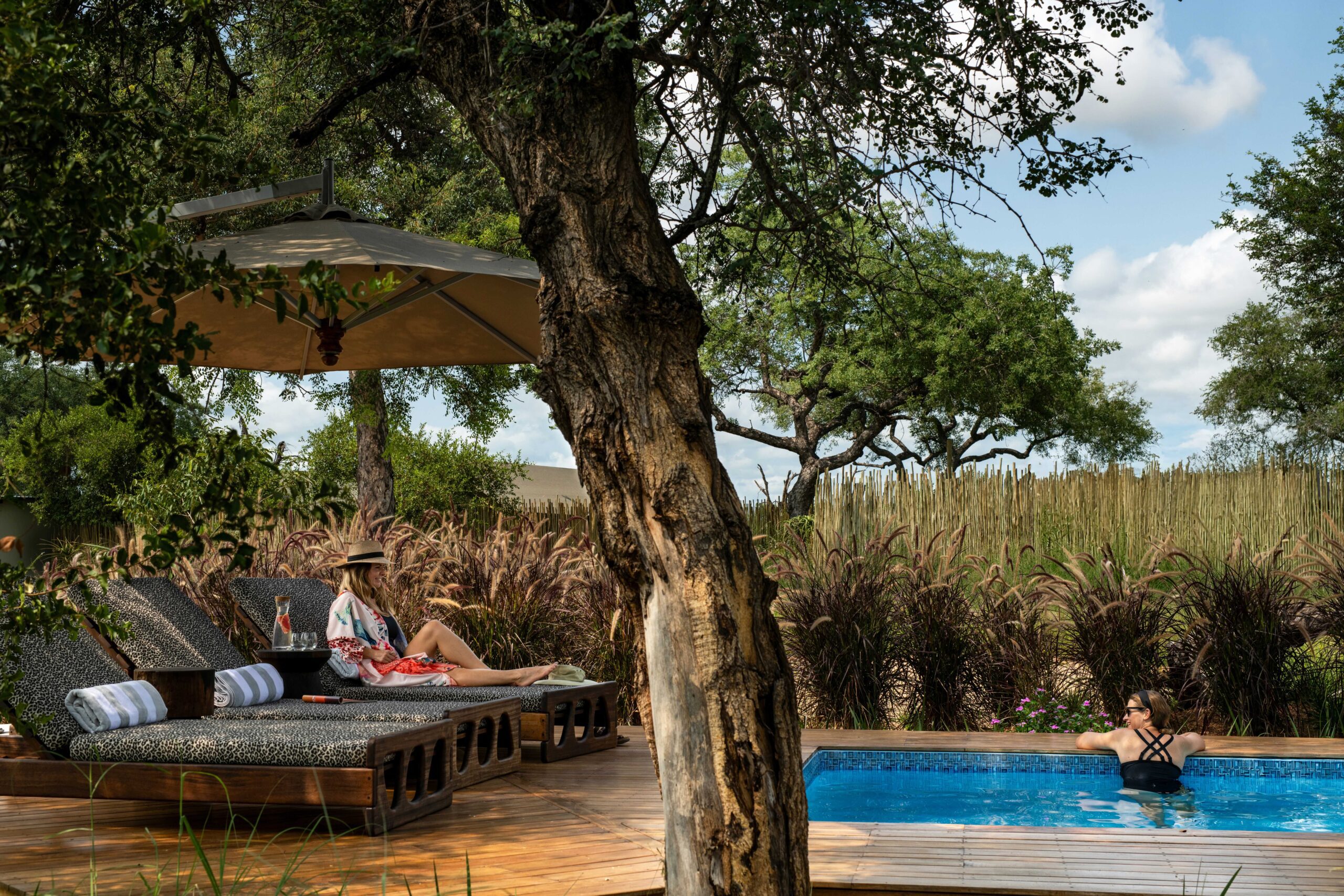 Amaya Safari Lodge: Luxury in Timbavati