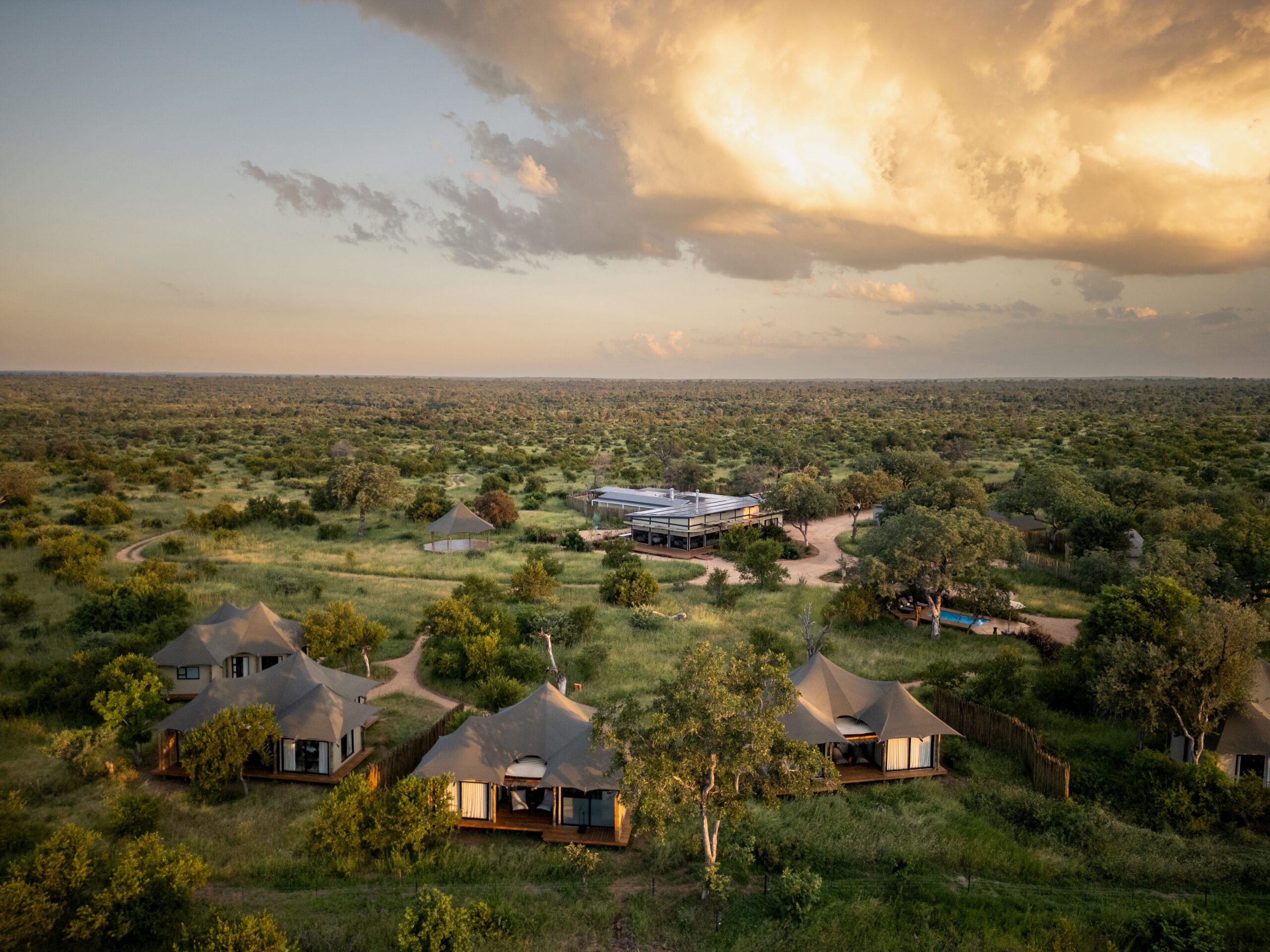 Amaya Safari Lodge: Luxury in Timbavati
